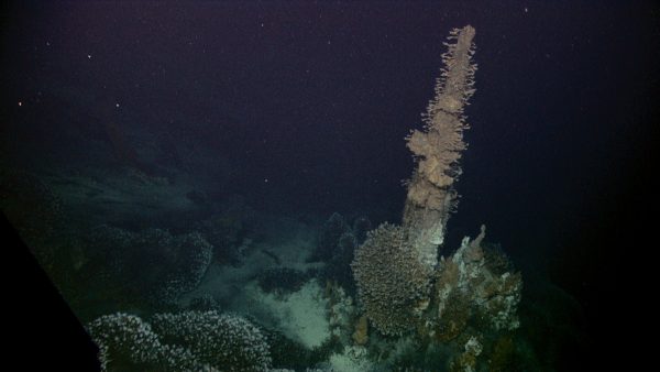 A Primer on Seafloor Massive Sulphides – DSM Observer